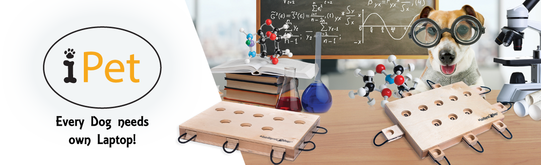 Interactive Dog and Cat Puzzle Toys For Intelligent Pets