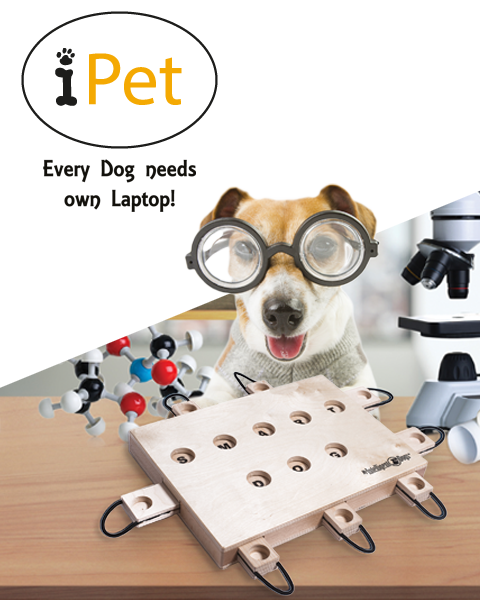 Interactive Dog and Cat Puzzle Toys For Intelligent Pets